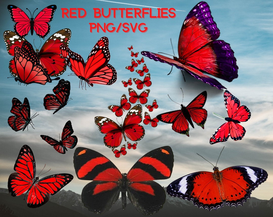 Red Butterfly Pack PNG/ Beautiful Red Butterflies PNGS Digital Download ...