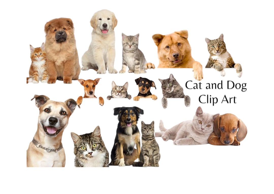 Cat and Dog Clip Art: Transparent PNG for Sublimation (digital Download ...