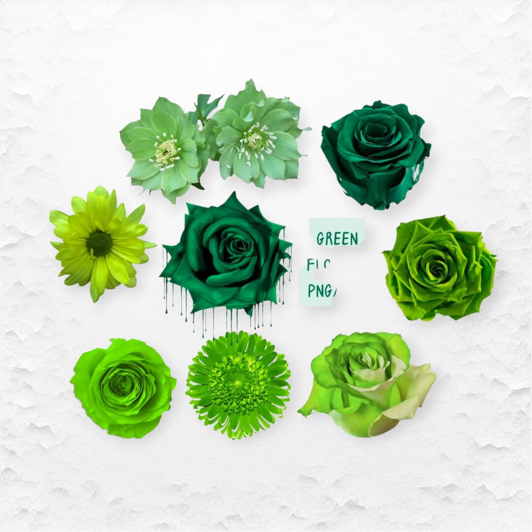 Green Flower Clipart PNG/SVG Files, Beautiful Green Rose SVG, Digital ...