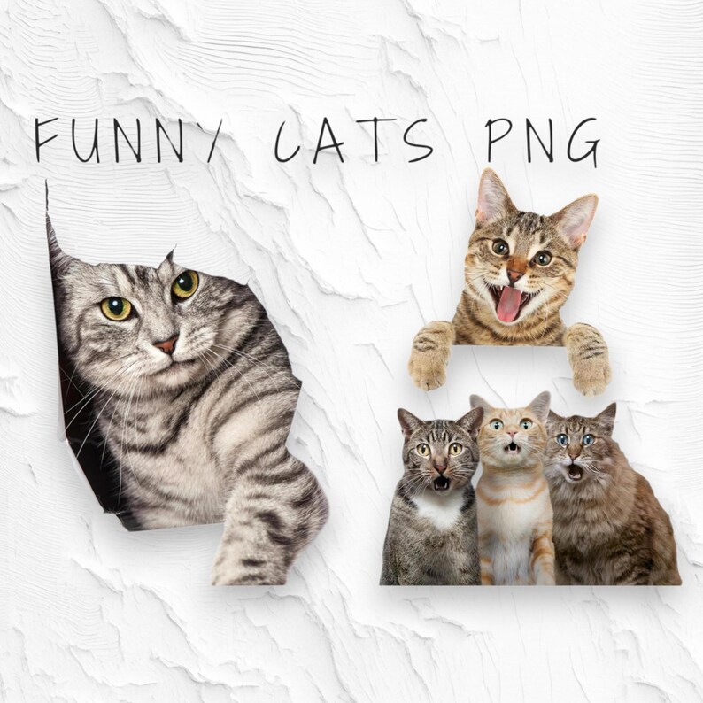 Funny Cat Through Wall PNG: 3D Clip Art (digital Download) - Etsy