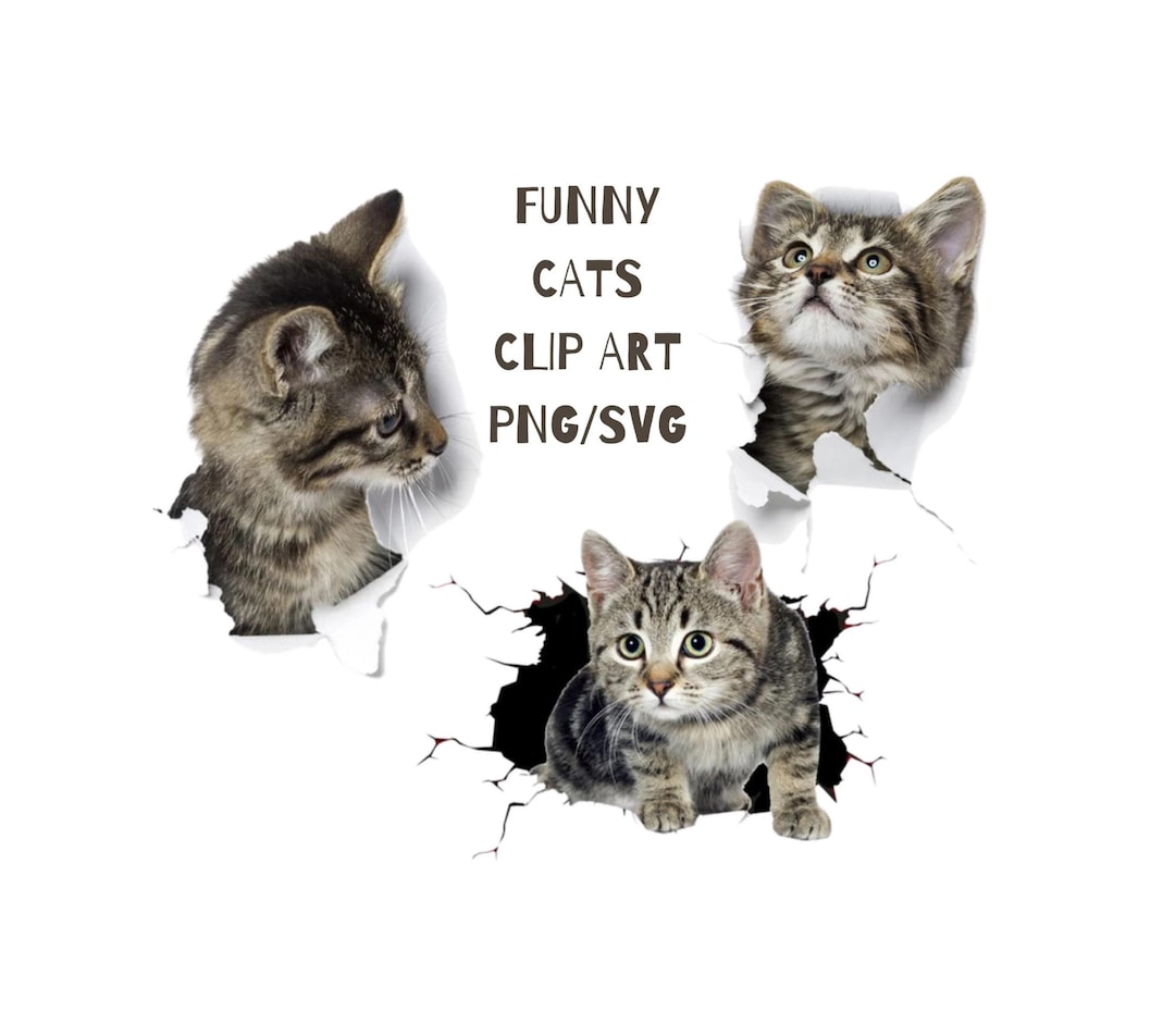 Funny Cat Clip Art, Crazy Cat PNG, Cat in the Wall, Cute Kitten Clip ...