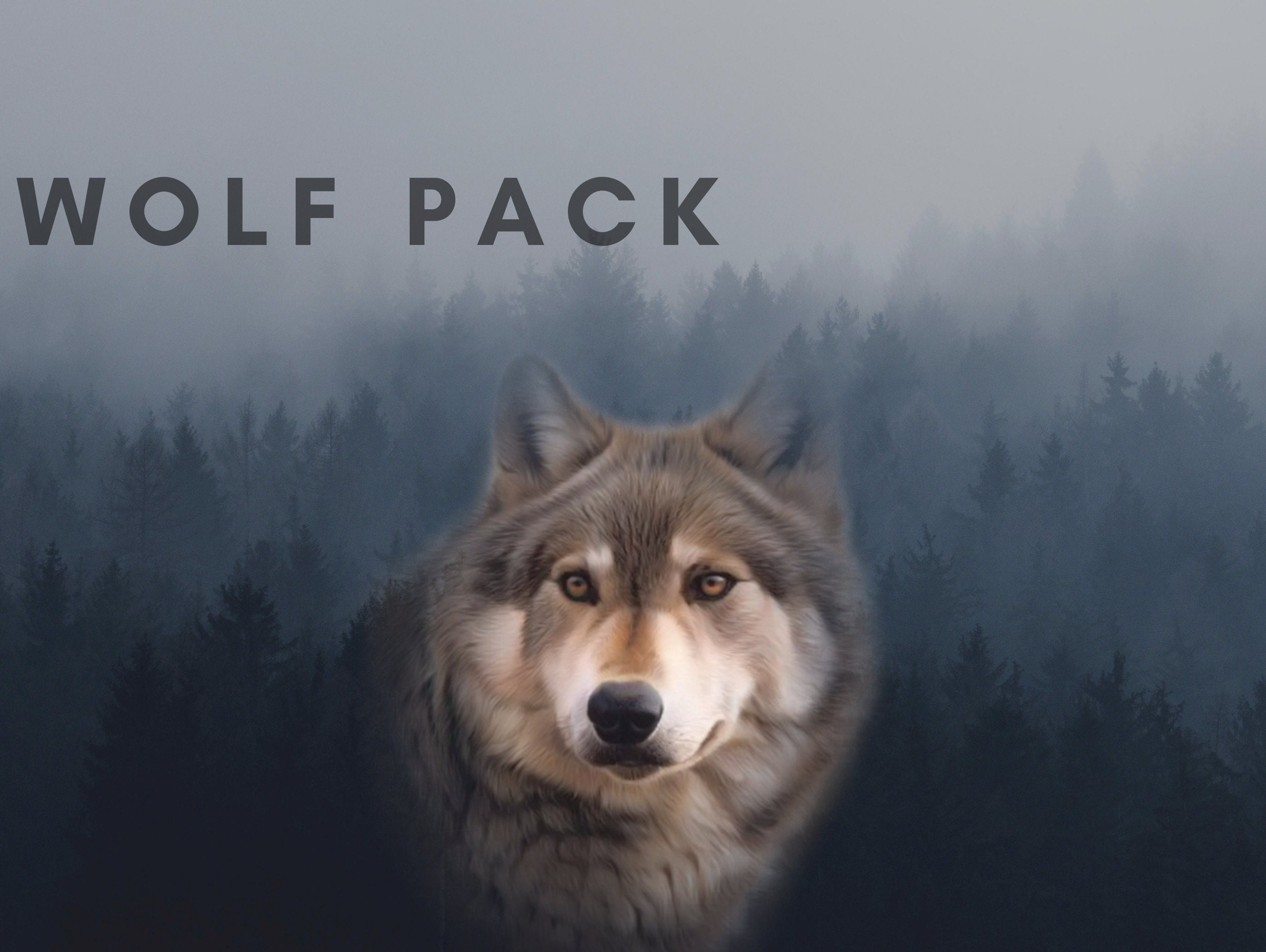 Wolf Pack PNG Clip Art Wolves Sublimation Design Wolf Digital - Etsy