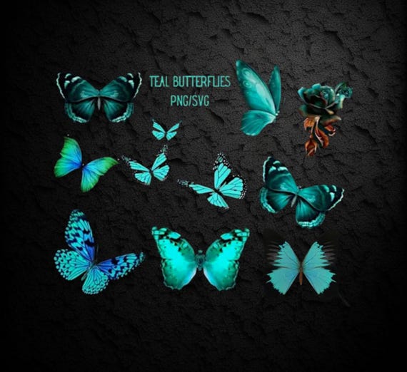 Imágenes De Mariposas Azules Y Verdes