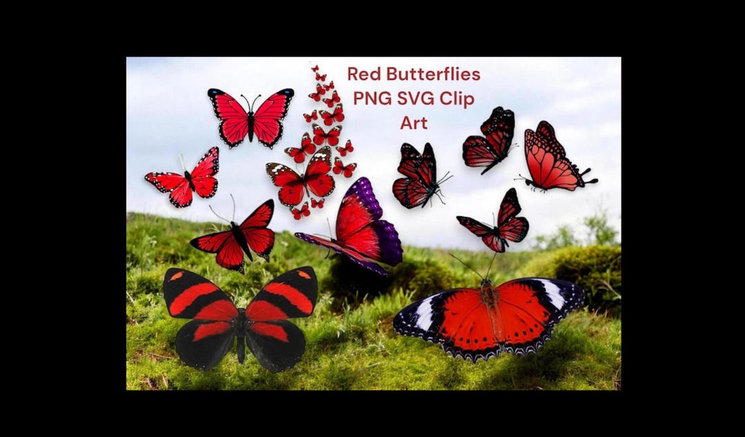 Red Butterfly Clip Art: PNG/SVG Digital Downloads - Etsy