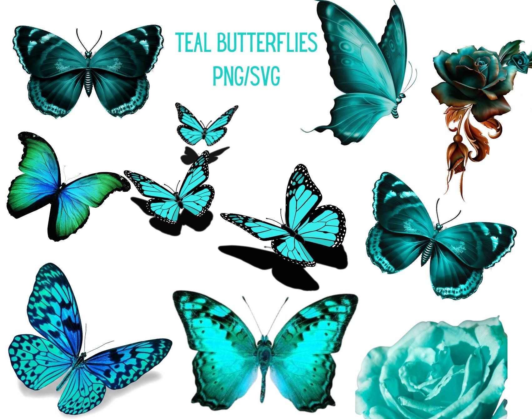 Teal Butterfly Pack PNG/SVG Beautiful Teal Butterflies PNGS - Etsy