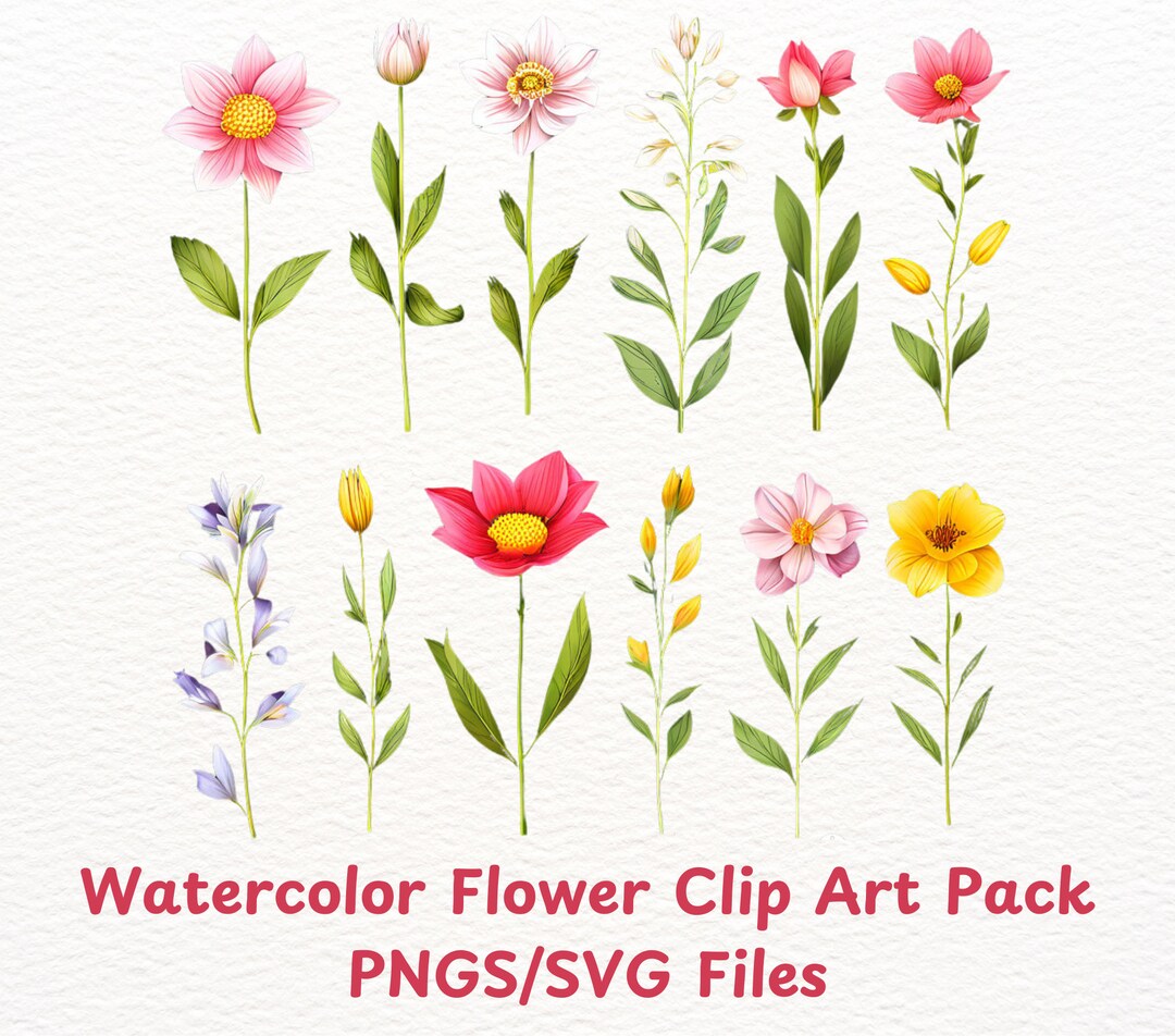Watercolor Flower Clip Art Floral Illustrations, Digital Download ...