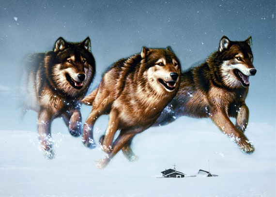 Wolf Pack Backgrounds