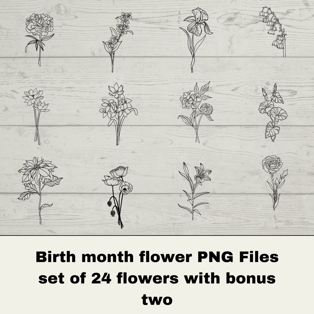 Birth Month Flower Png Set of 26 Flowers. - Etsy