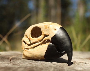 Skull Full Size - Etsy
