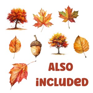 Fall Alphabet PNG Clipart: Autumn Letters, Numbers (digital Download ...