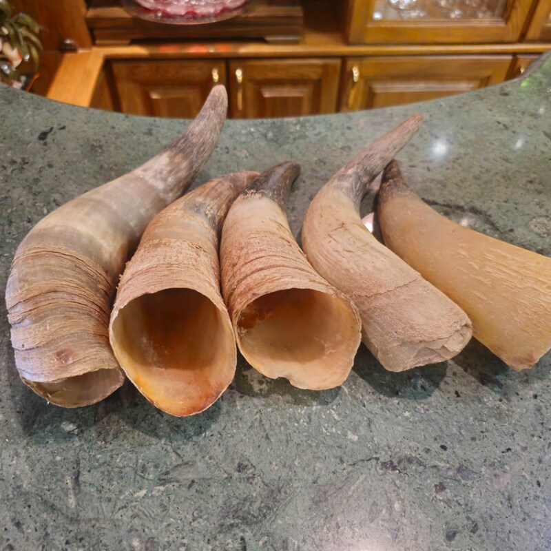 Raw Cow Horns - Etsy