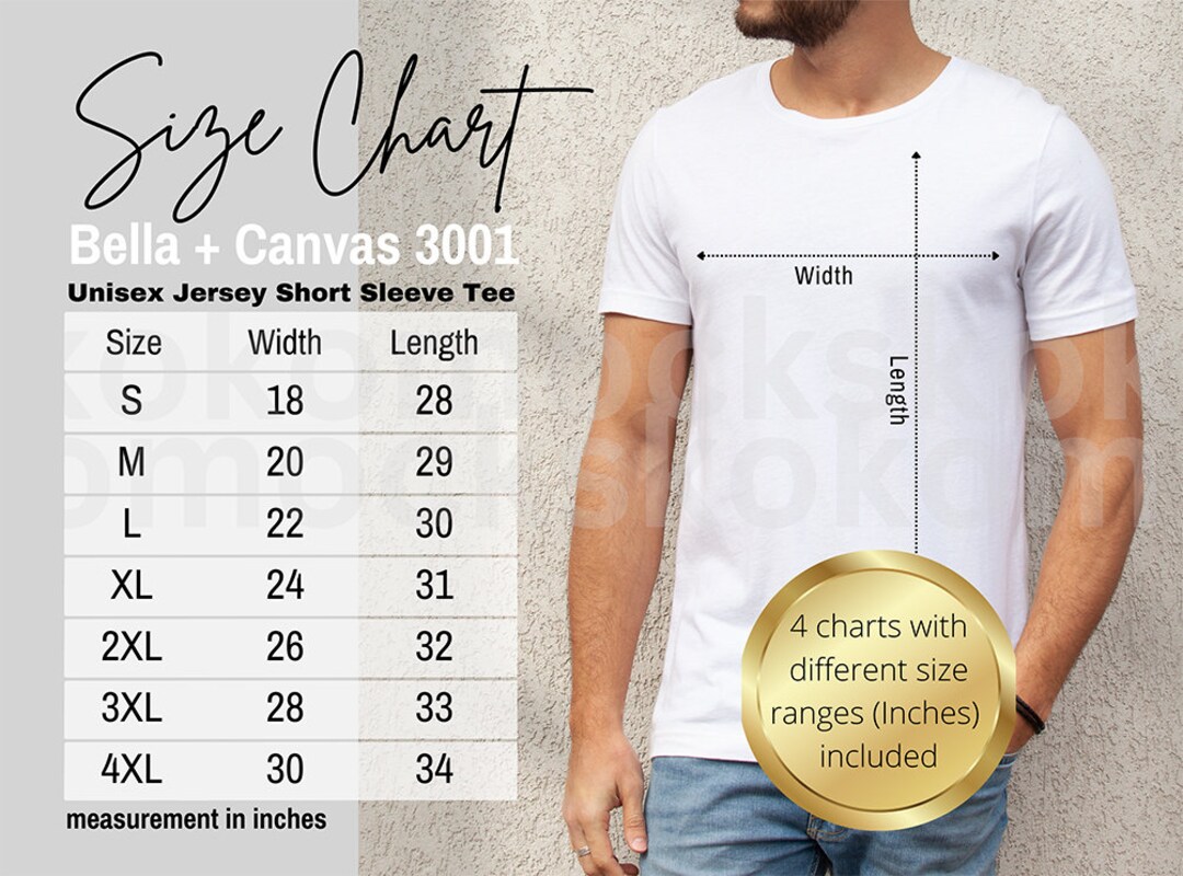 Bella Canvas 3001 Size Chart Male Model Sizing Chart Mockup Unisex ...