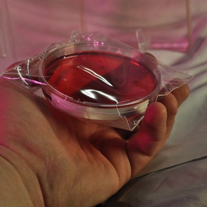 The Thing Blood Test Plastic Petri Dish - Etsy
