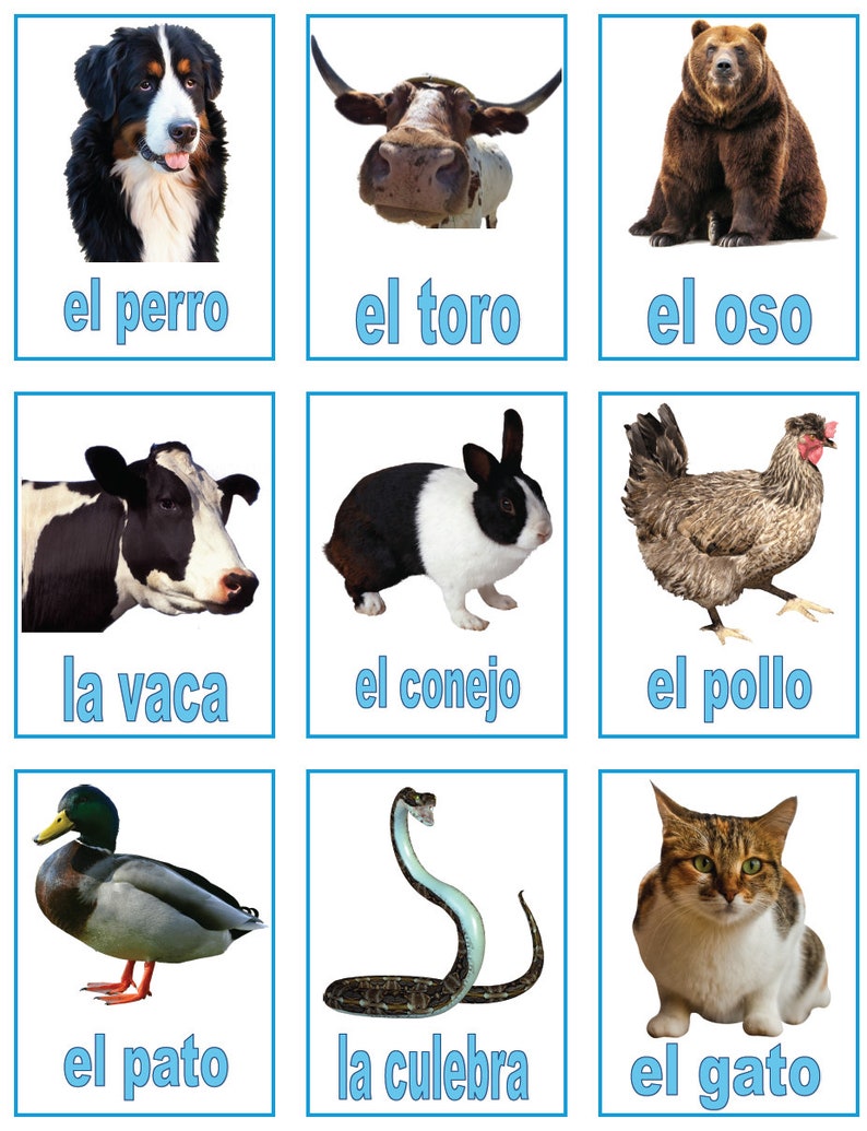 Printable Spanish Animal Flashcards - Etsy