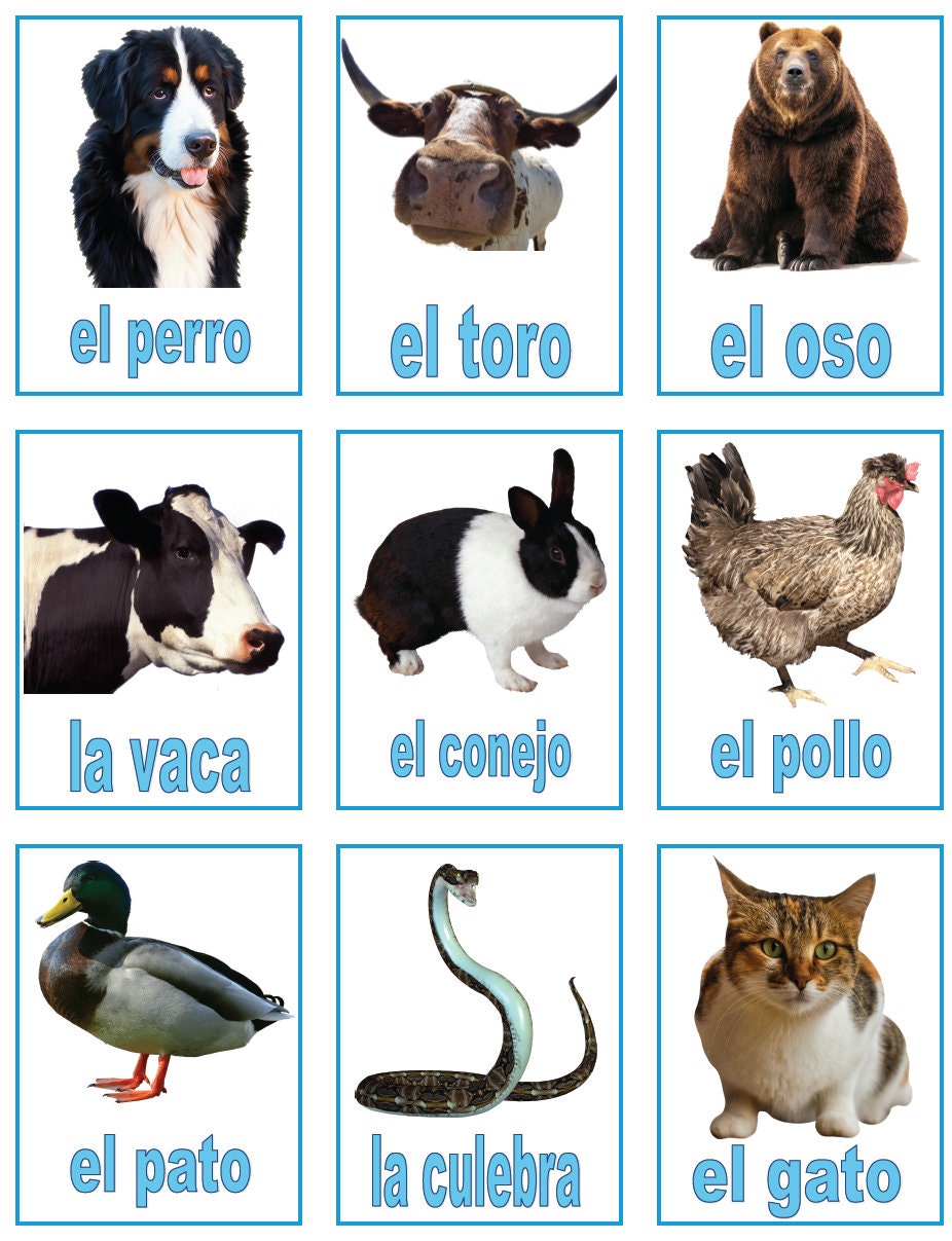 Printable Spanish Animal Flashcards - Etsy