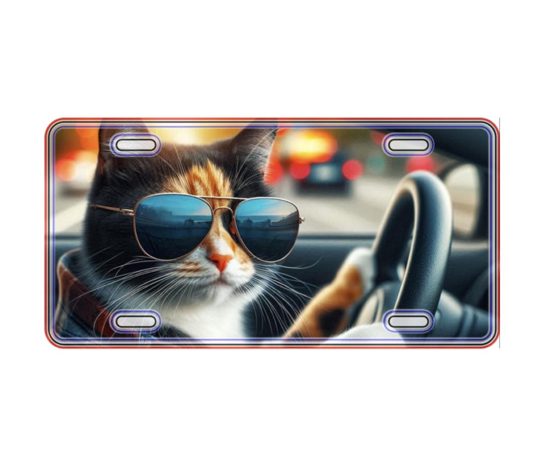 Cat License Plate, Gift for Her, Cat Lovers, Fun Car Accessory, Pet ...