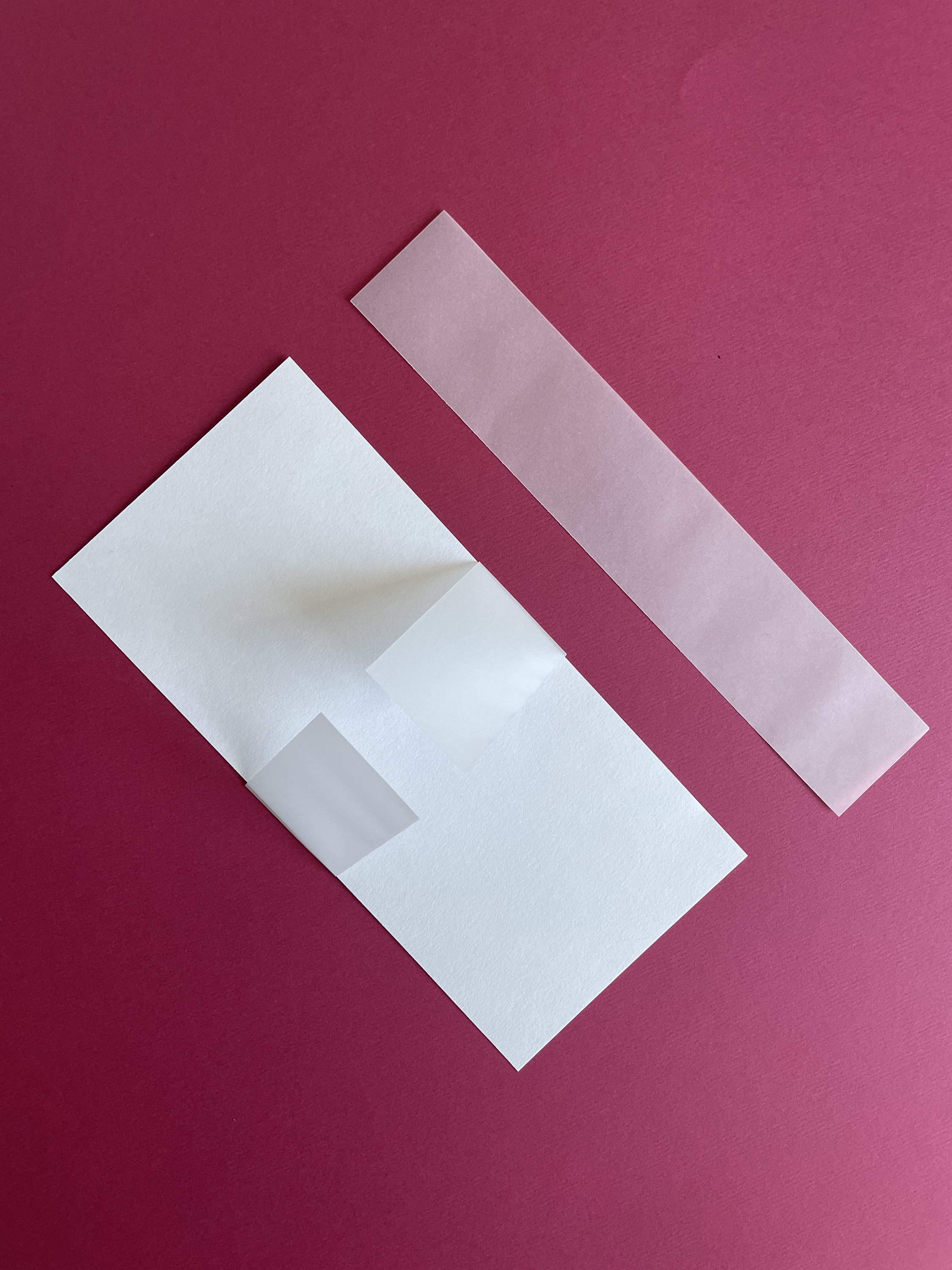 Flat DL Size Invite Vellum Belly Bands, Vellum Wraps DL Wedding ...