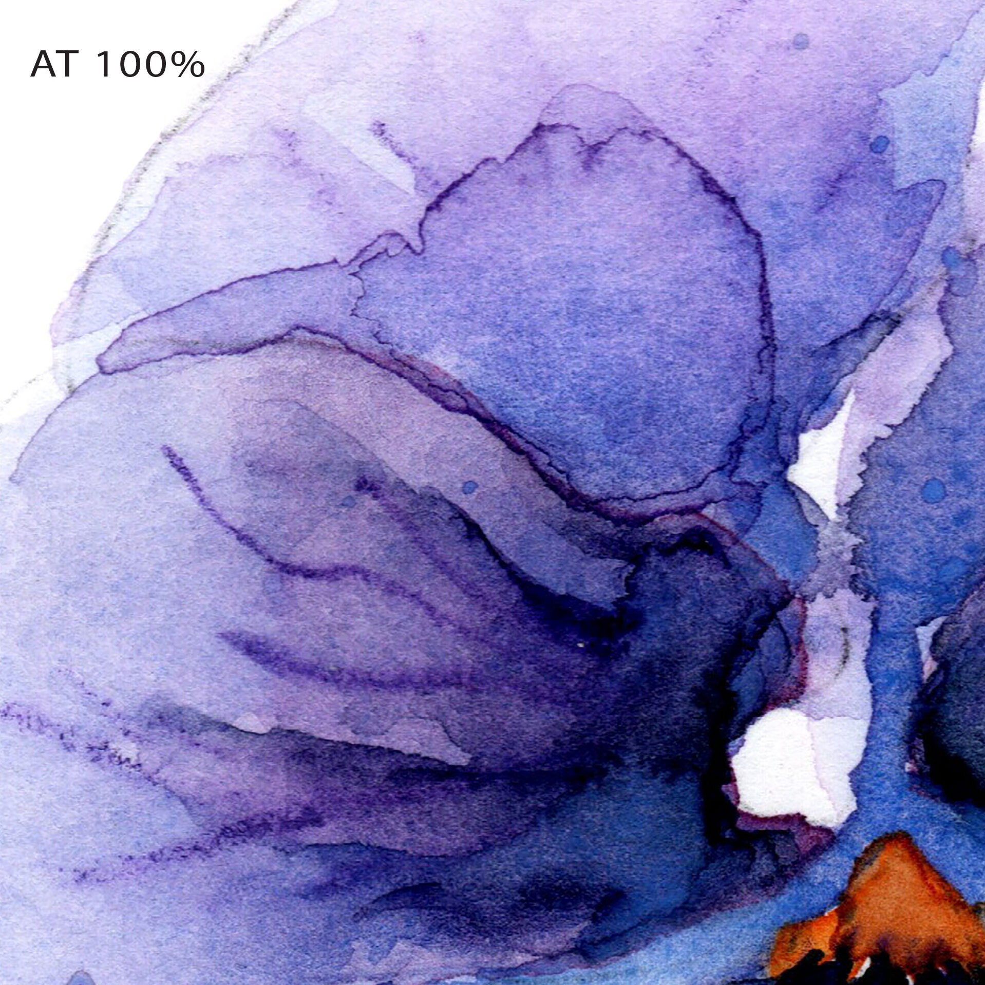 Watercolor Violets Hand Painted Original Fine Art, Purple Violets ...