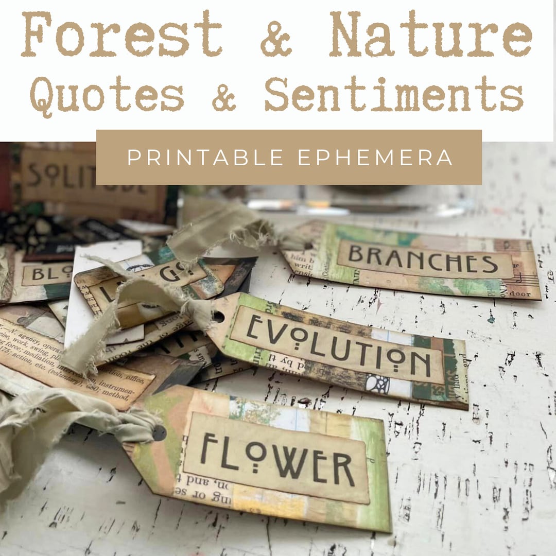 Nature, Forest, Woodland, Enchanted Forest Quotes & Sentiments for Art ...