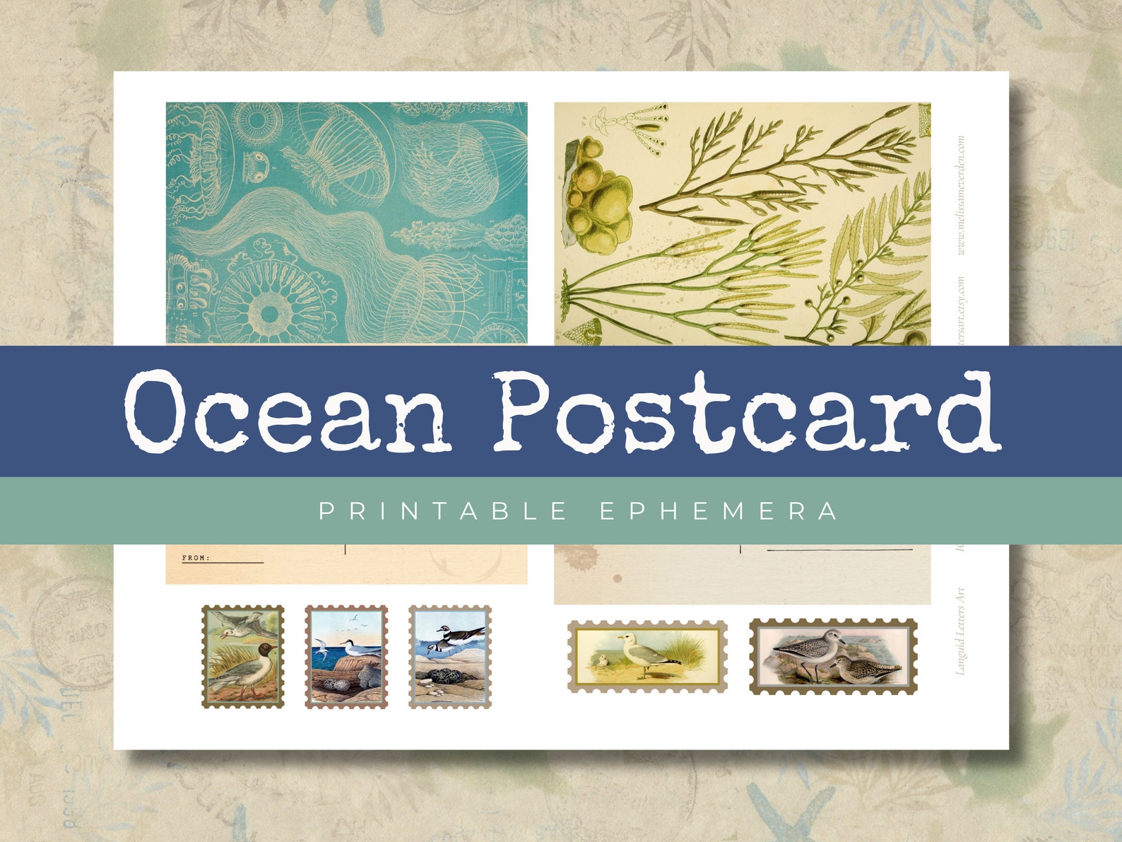 Mini Postcards for Ocean, Beach Junk Journals - Digital Download PDF ...