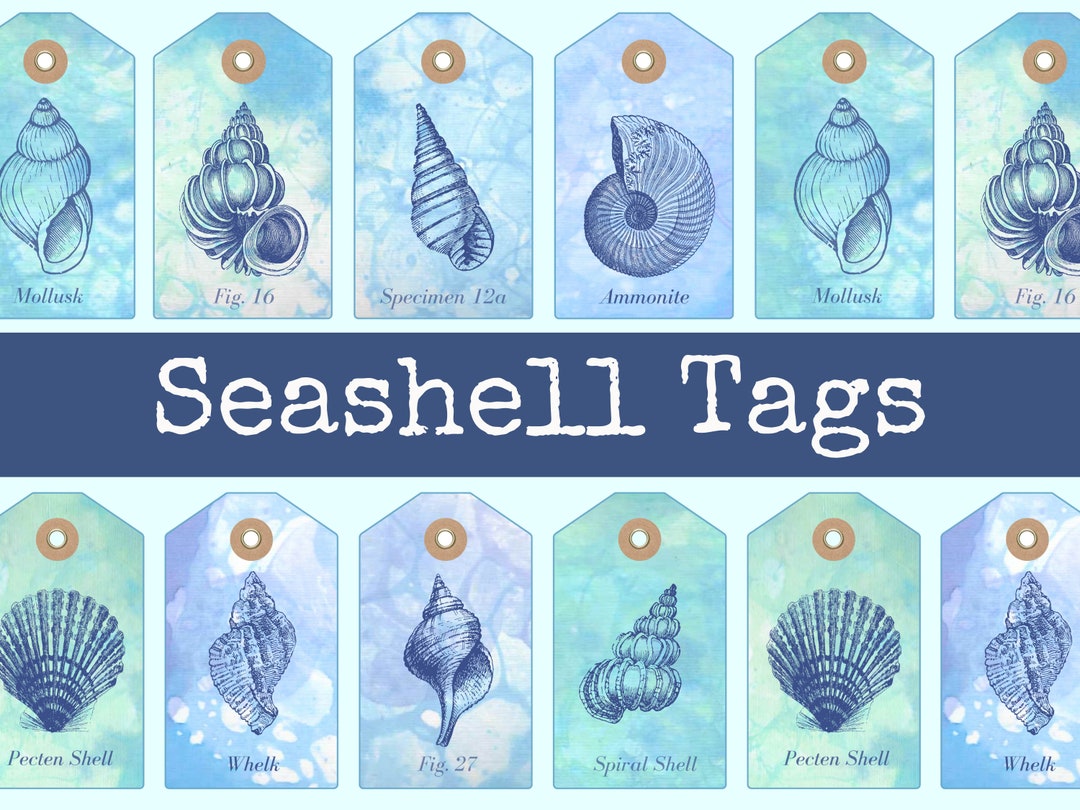 Seashell Tags for Ocean, Beach, Mermaid Junk Journals - Digital ...