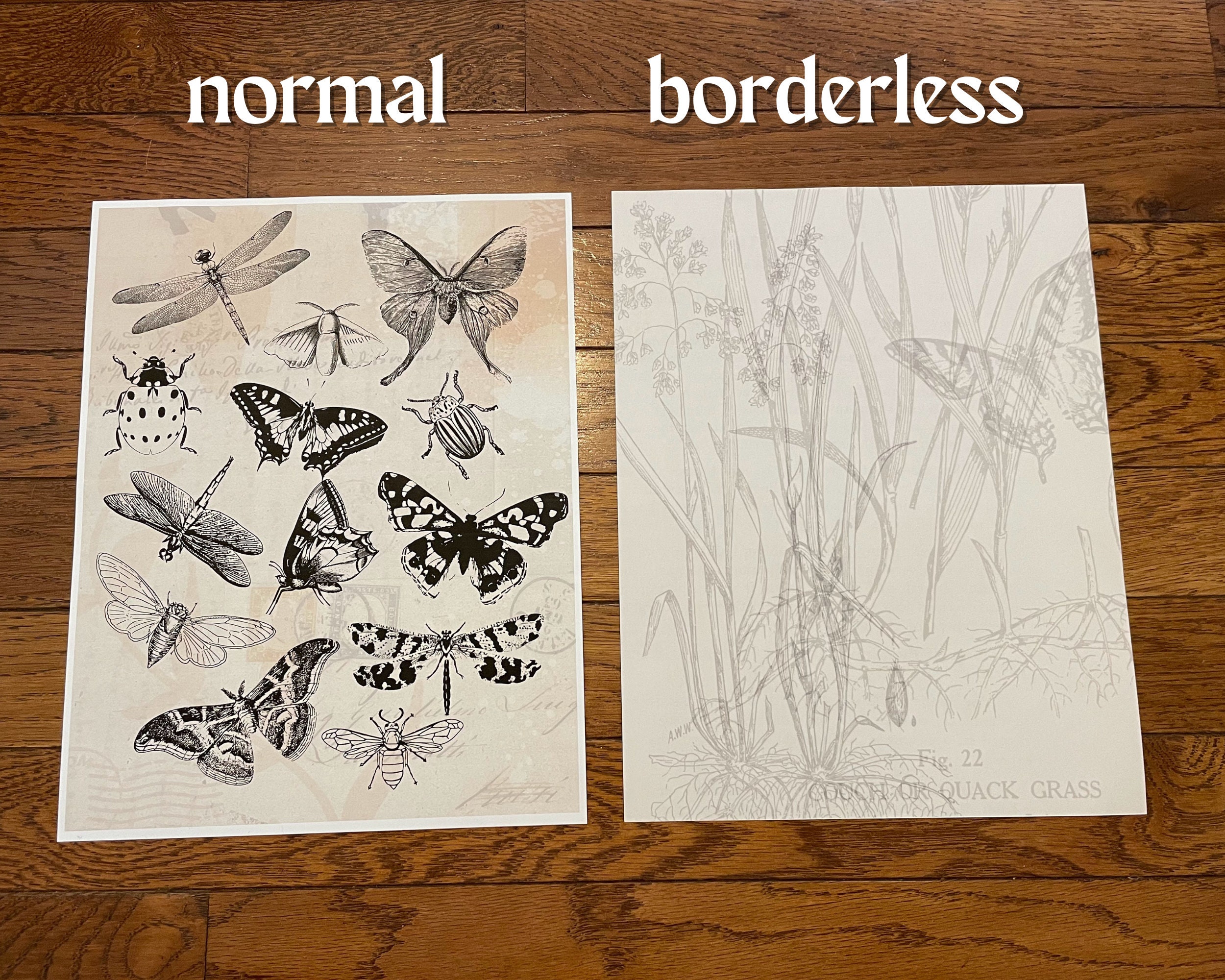 Digital Vintage Paper Pack Butterfly Botanical Garden Nature Plants ...