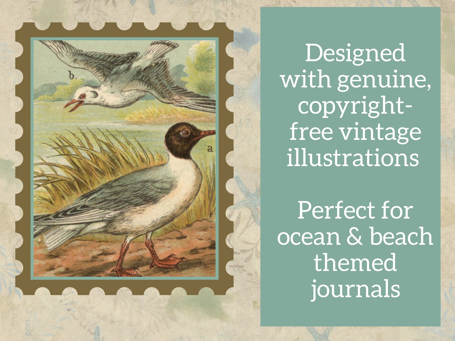 Mini Postcards for Ocean, Beach Junk Journals - Digital Download PDF ...