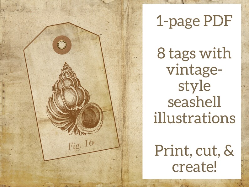 Seashell Tags for Ocean, Beach, Mermaid Junk Journals - Digital ...