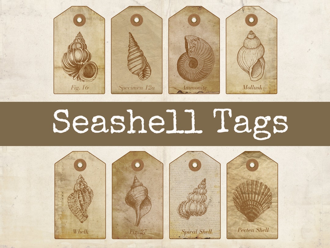 Seashell Tags for Ocean, Beach, Mermaid Junk Journals - Digital ...