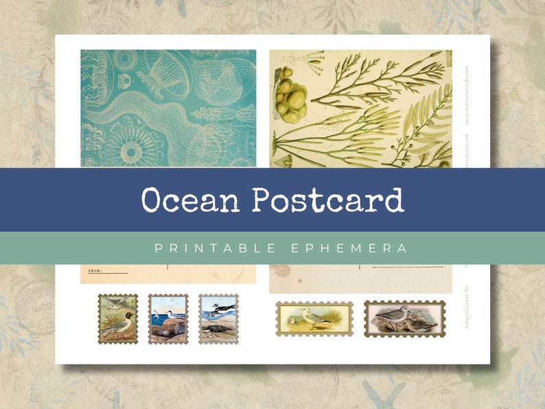 Mini Postcards for Ocean, Beach Junk Journals - Digital Download PDF ...