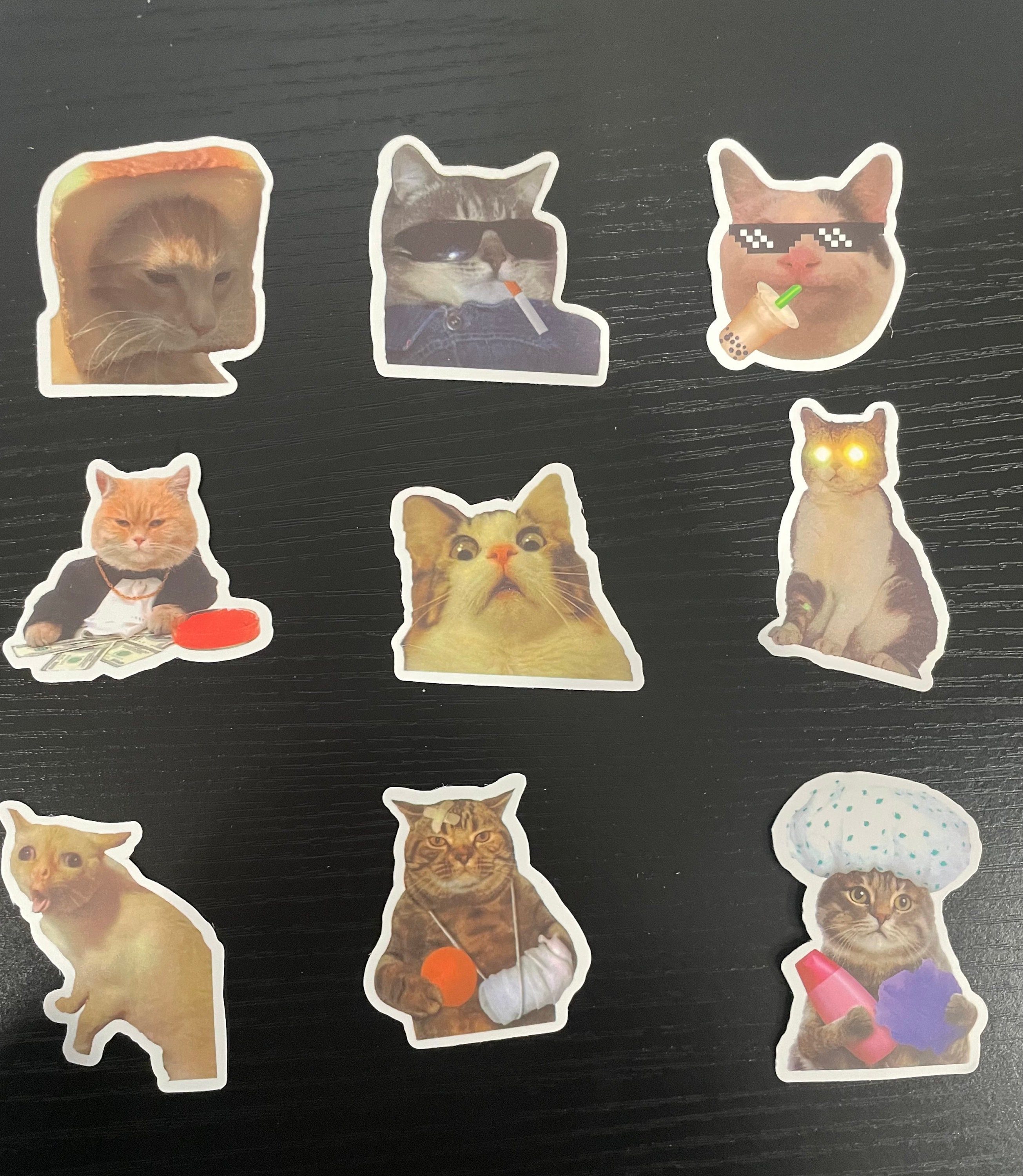 Meme Cat Funny Aesthetic Stickers, Scrap Booking, Gifts, for Notebooks ...