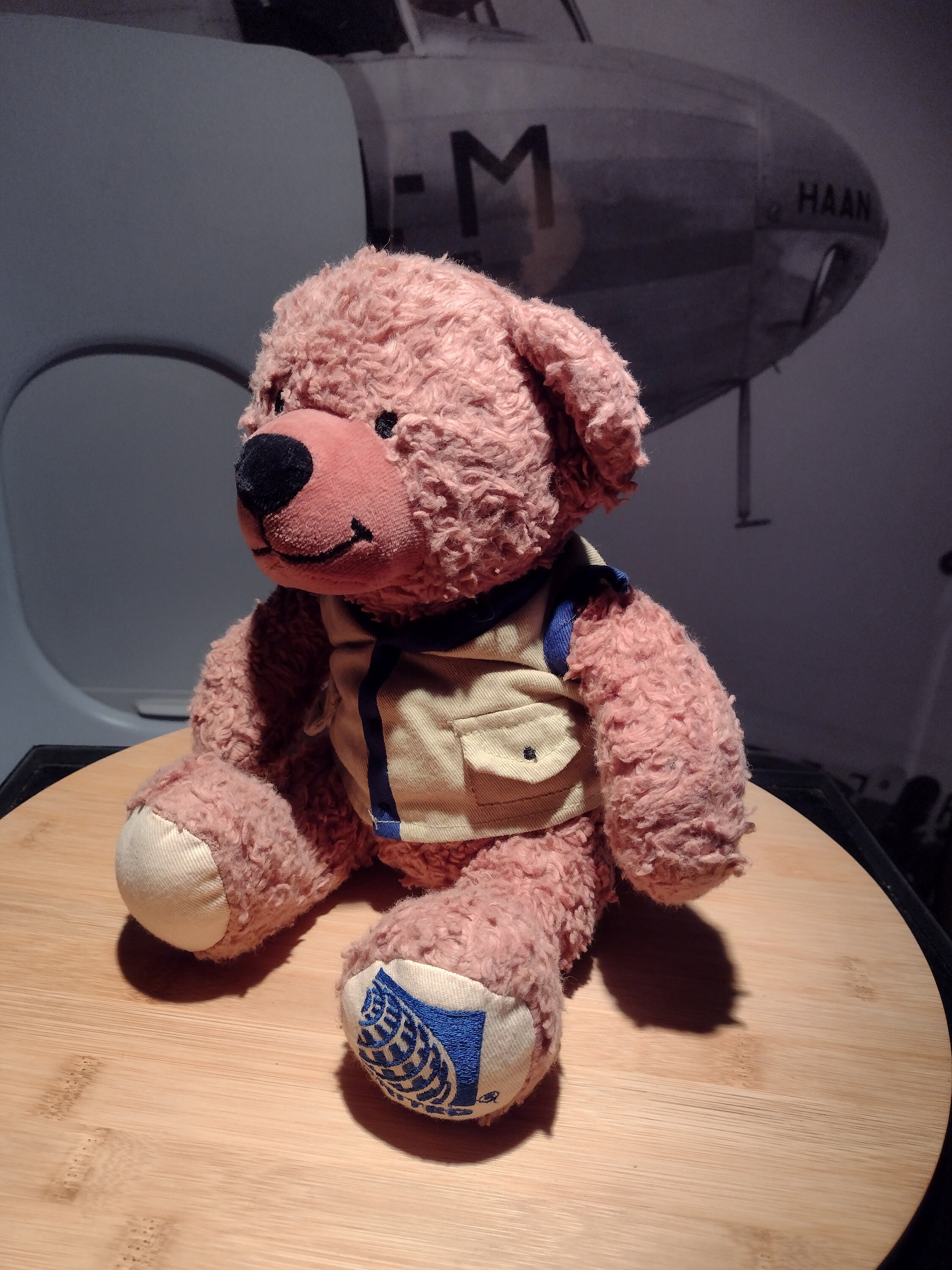 United Airlines Mascot Bear Ben Flyin - Etsy UK