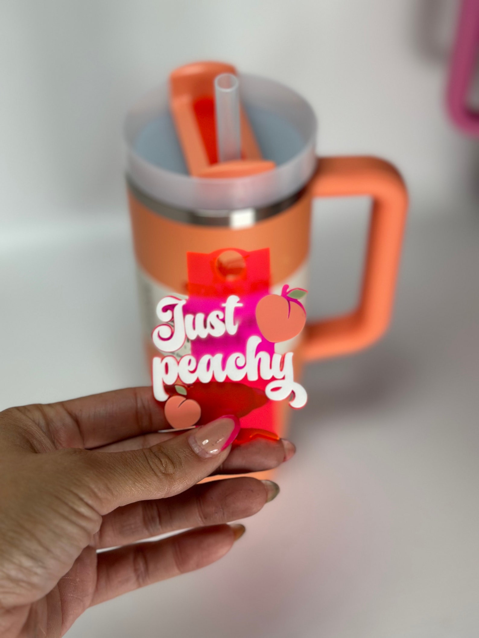 Just Peachy Tumbler Topper Peach Stanley Name Plate Name Plate Name ...