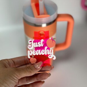 Just Peachy Tumbler Topper Peach Stanley Name Plate Name Plate Name ...