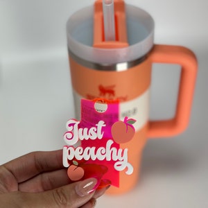 Just Peachy Tumbler Topper Peach Stanley Name Plate Name Plate Name ...