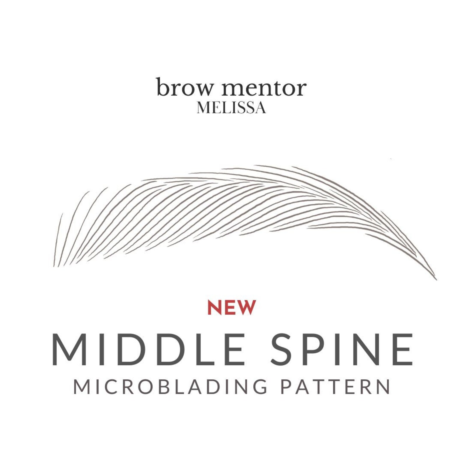 Simple Brow Microblading Pattern Step-by-step, Basic Microblading ...
