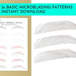 Simple Brow Microblading Pattern Step-by-step, Basic Microblading Structure, Beginner Eyebrow ...