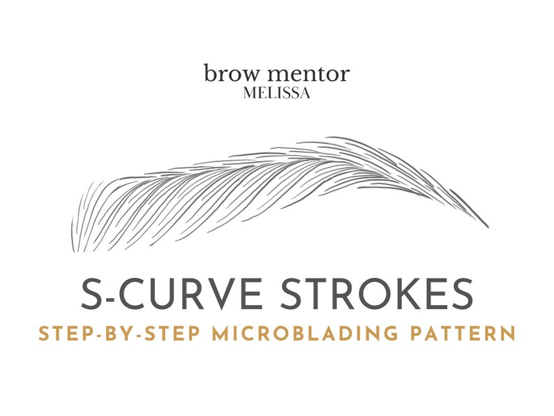 S-curved Microblading Strokes Design Step-by-step, S-shaped Style, S ...