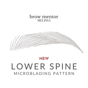 Simple Brow Microblading Pattern Step-by-step, Basic Microblading ...