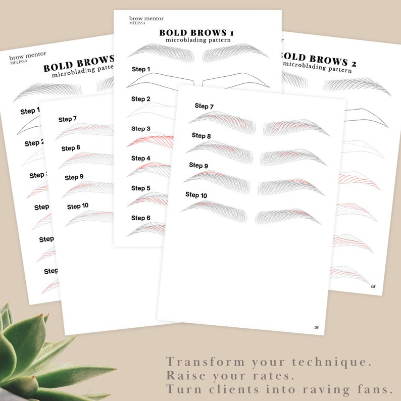 Bold Brows Microblading Patterns Step-by-step Microblading - Etsy