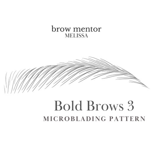 Bold Brows 3 Step-by-step Microblading Pattern - Etsy