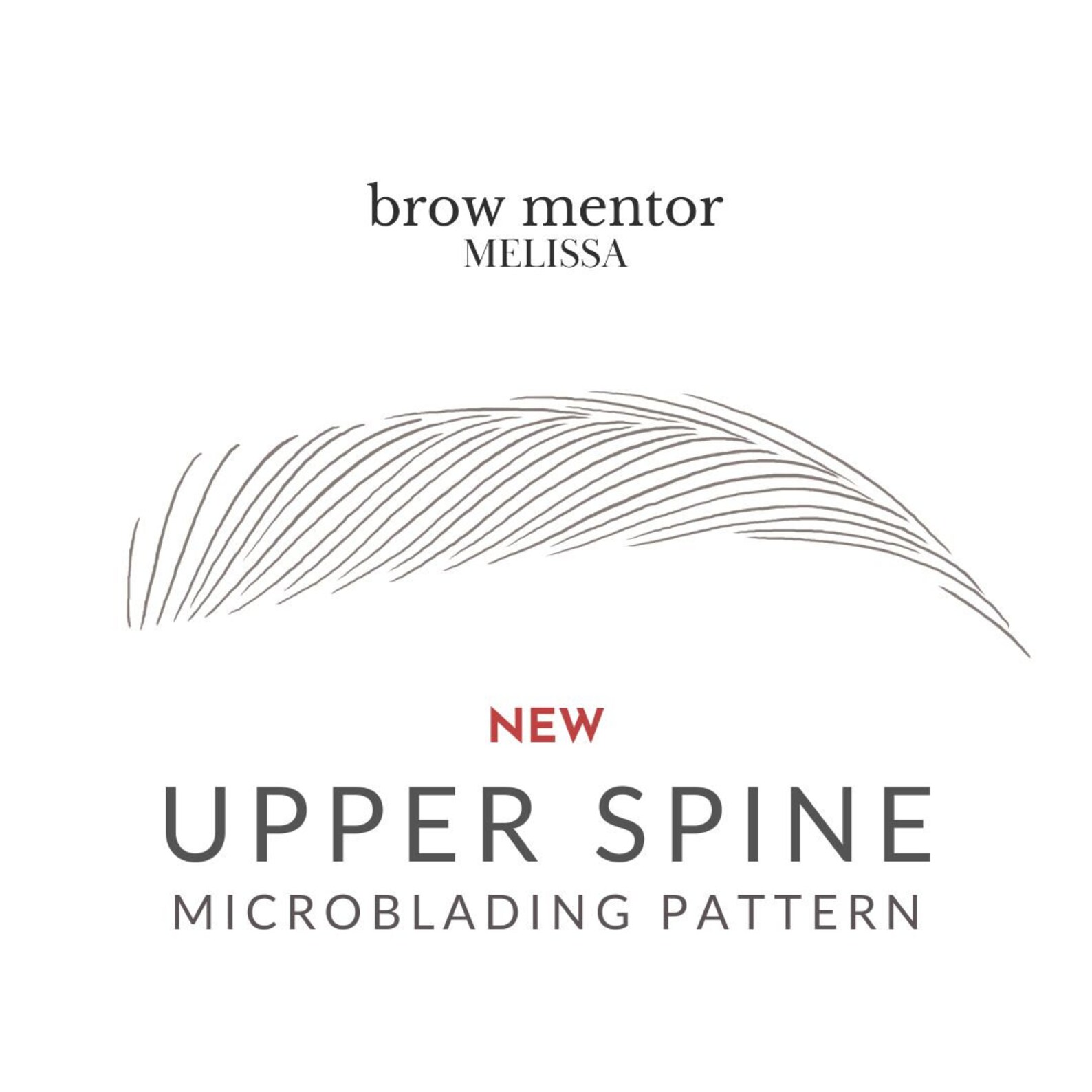 Simple Brow Microblading Pattern Step-by-step, Basic Microblading ...