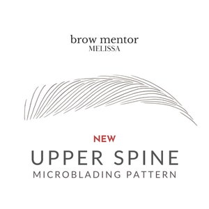 Simple Brow Microblading Pattern Step-by-step, Basic Microblading ...