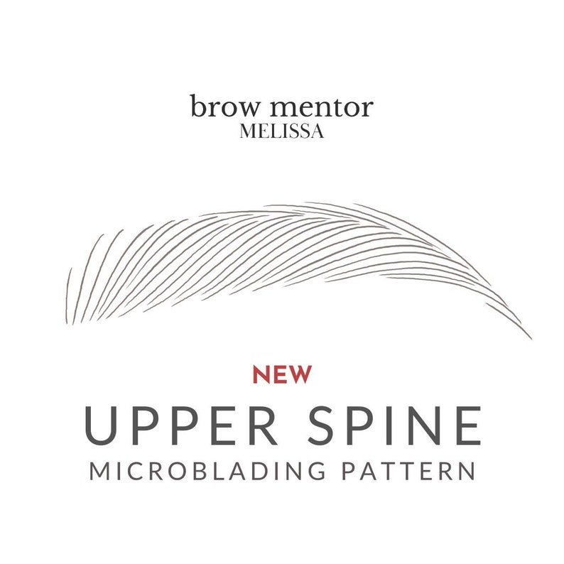 Easy Microblading Patterns Step-by-step Middle Upper and Lower Spine ...