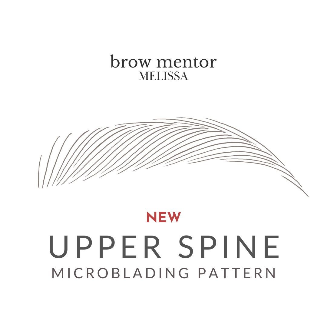Simple Brow Microblading Pattern Step-by-step, Basic Microblading Structure, Beginner Eyebrow ...