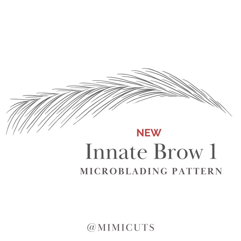 3D Microblading Pattern Steps, Feather Brows Microblading Pattern ...