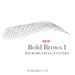 Bold Brows Microblading Patterns Step-by-step Microblading Stroke Pattern Template Phibrows ...