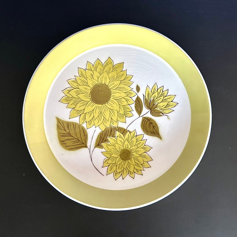 Retro Dinnerware - Etsy