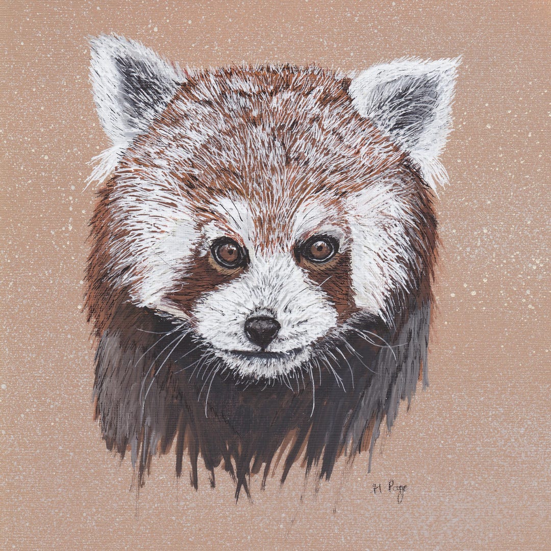 Ralf the Red Panda Print, Hand Painted Red Panda, Panda Lovers' Gift ...