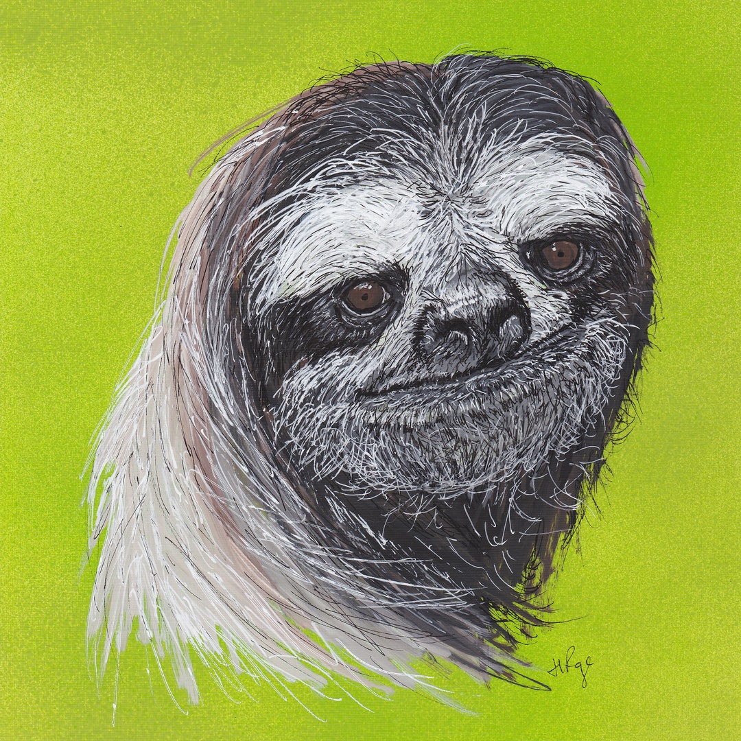 Sloth Fine Art Giclee Print, Hand Painted Sloth, Colourful Sloth Print ...